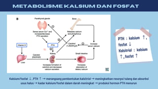 Sistem Skeletal | PDF