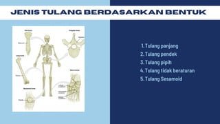 Sistem Skeletal | PDF