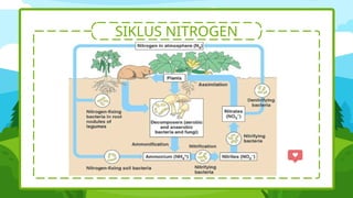 PPT KELOMPOK 9 - METABOLISME NITROGEN.pptx