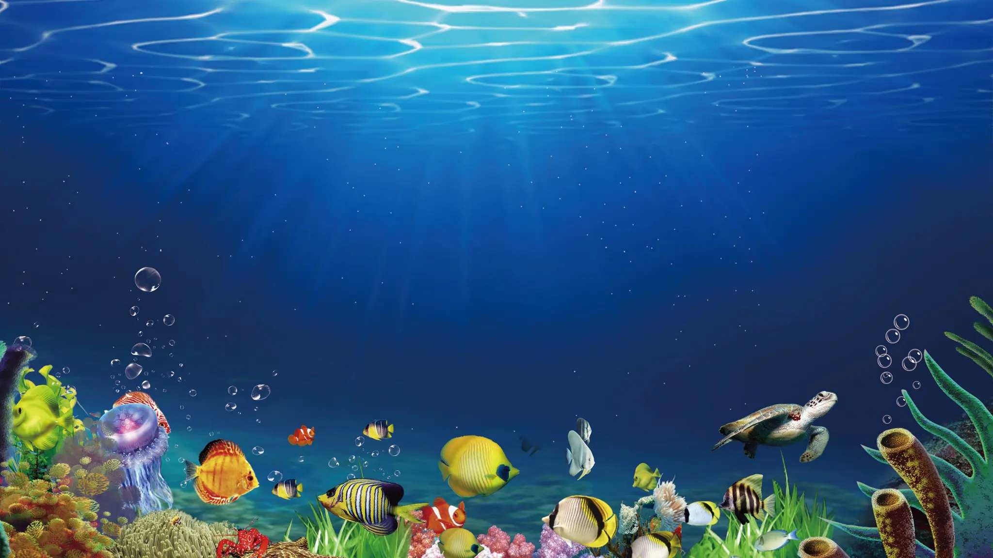 PPT Dunia Bawah Laut Kelompok AVO Smkn35 | PPT | Free Download