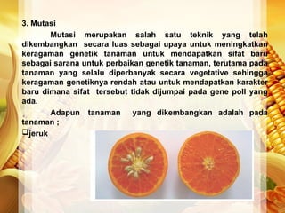 ppt keragaman genetik pada tanaman 2.ppt