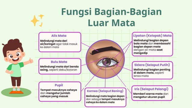 PPT KESEHATAN MATA DR NORA 19-12-2024.pptx