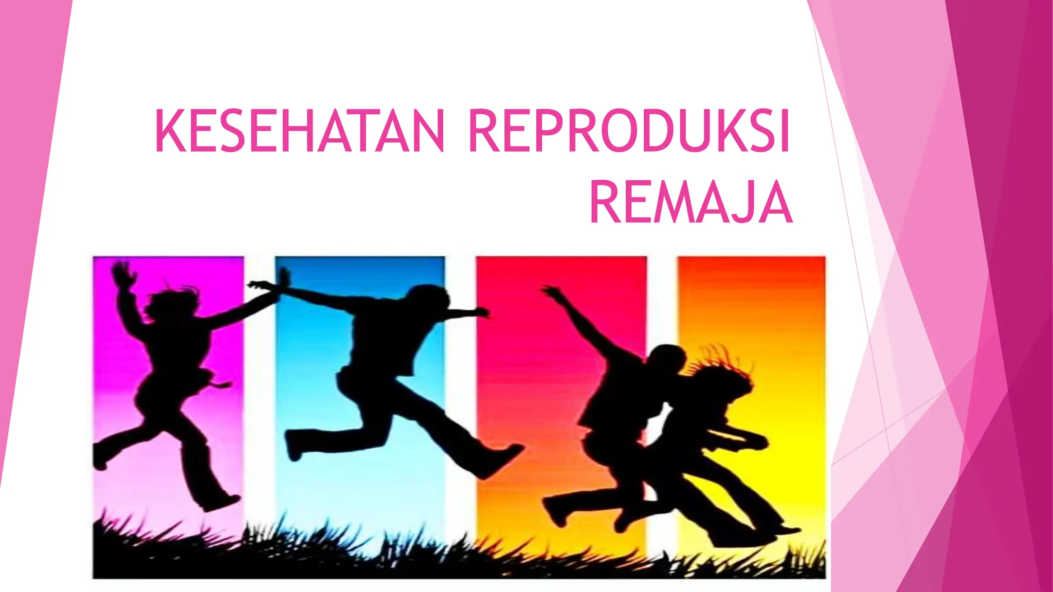 PPT KESEHATAN REPRODUKSI REMAJA pada saat sekolah | PPTX