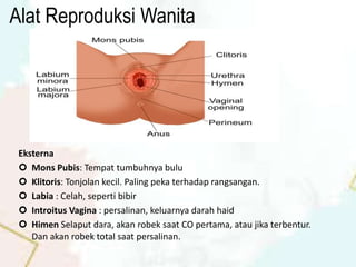 power point kesehatan reproduksi pria dan wanita | PPT