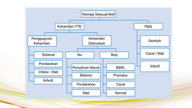 POWERPOINT KESEHATAN REPRODUKSI REMAJA ( PPT KESPRO REMAJA ) | PDF