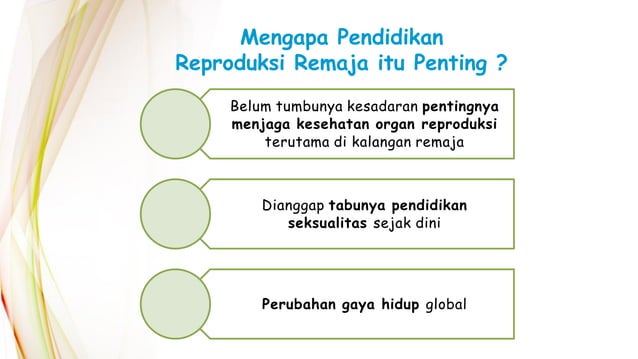 POWERPOINT KESEHATAN REPRODUKSI REMAJA ( PPT KESPRO REMAJA ) | PDF