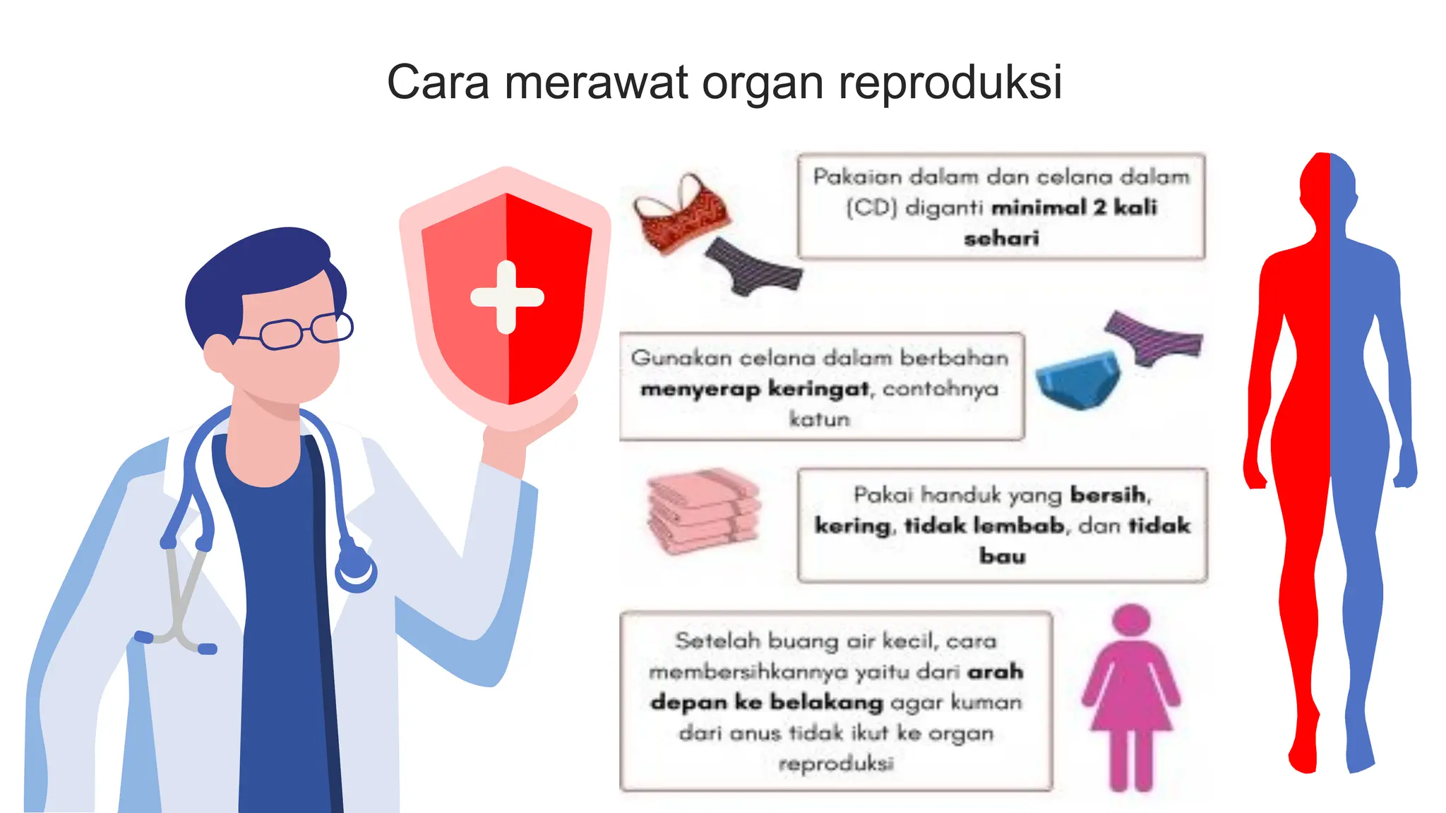 kesehatan reproduksi powerpoint bagi remaja | PPT