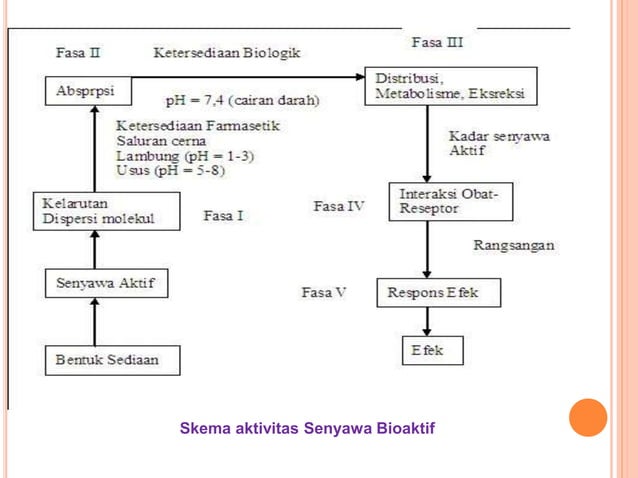 ketersediaan hayati materi .bioavaibilitas senyawabioaktif | PPT