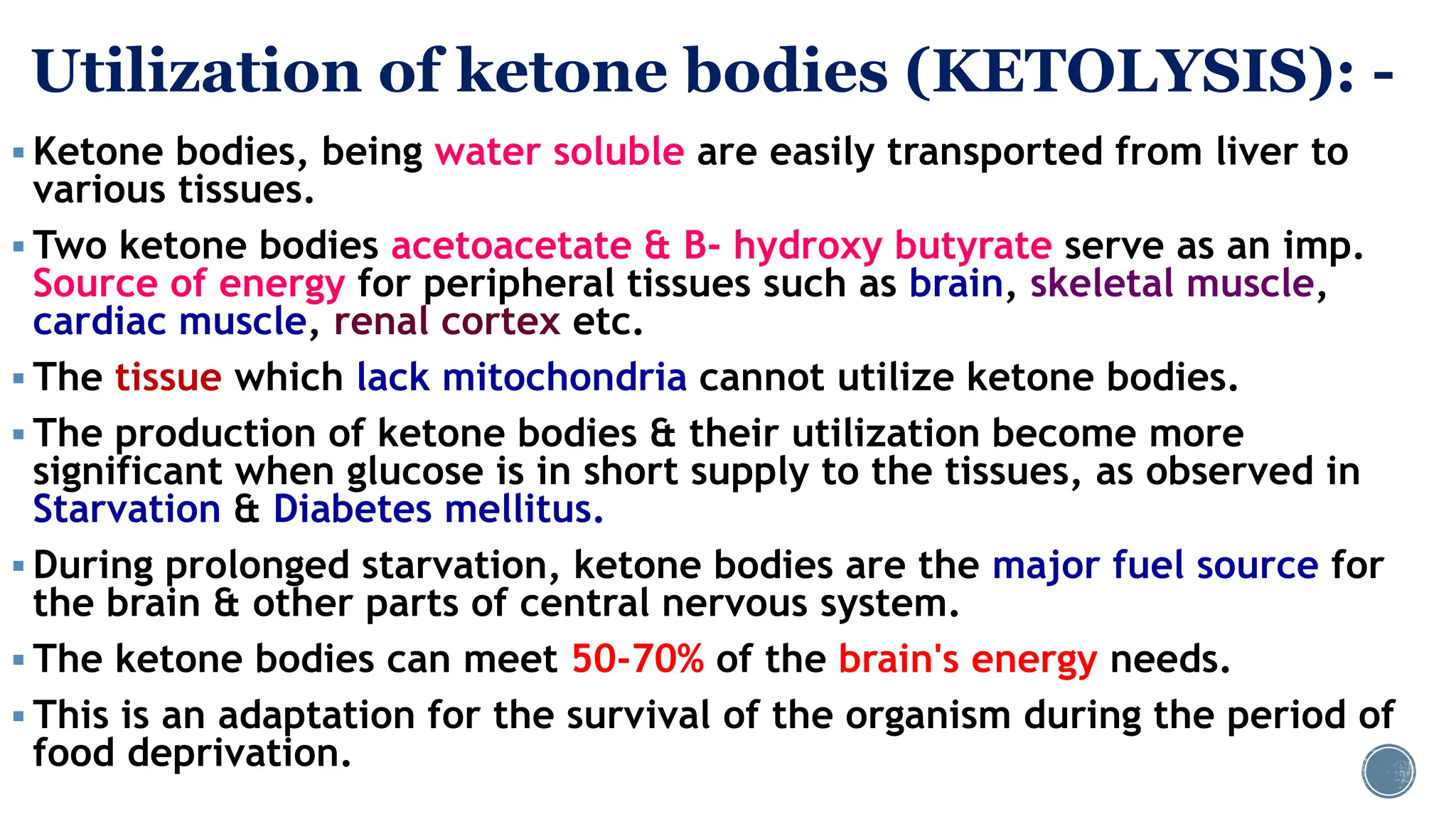 KETON BODY ,type name,and there synthesis | PPTX