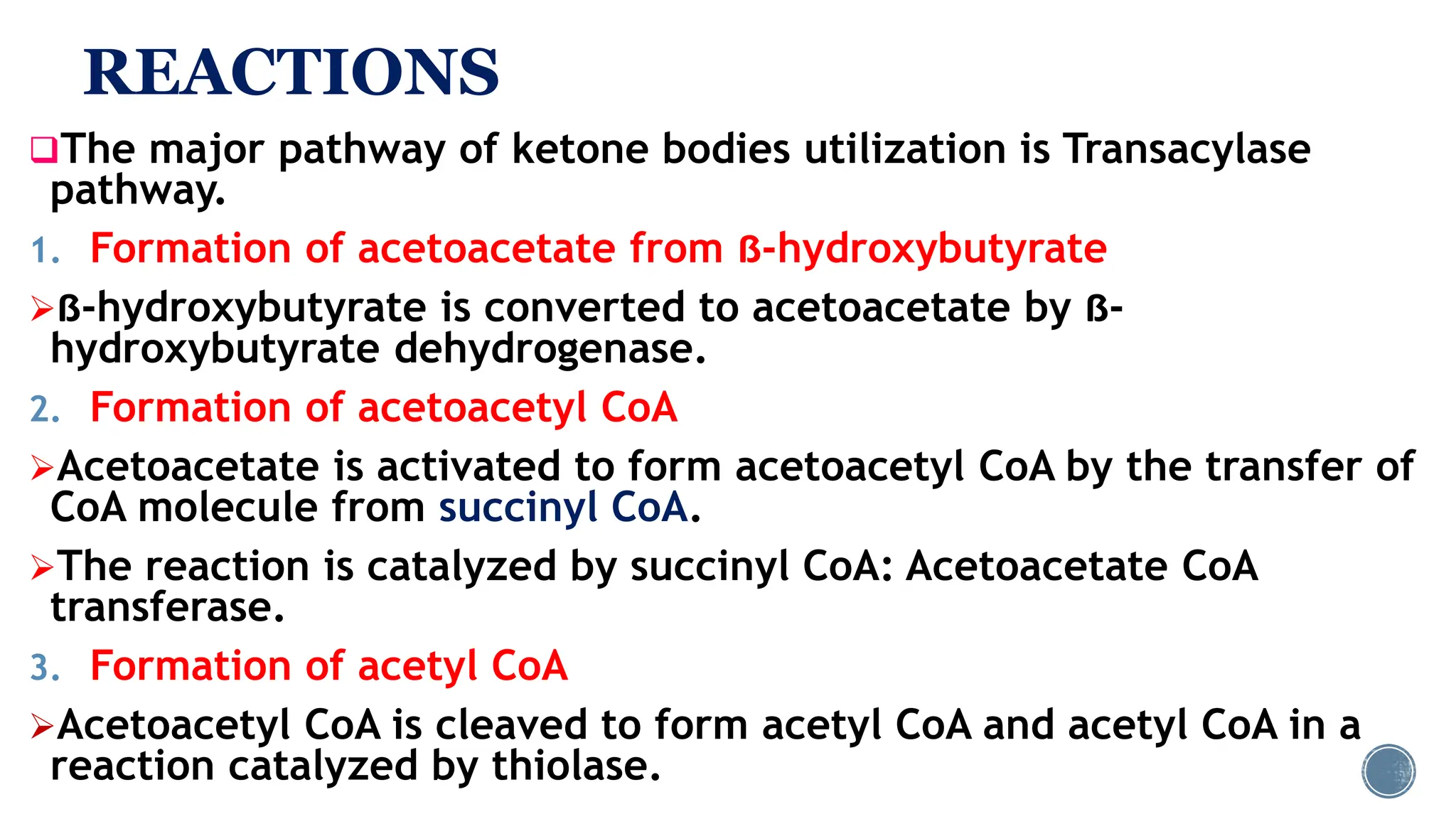 KETON BODY ,type name,and there synthesis | PPTX