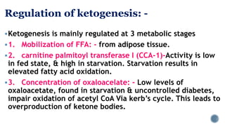 KETON BODY ,type name,and there synthesis | PPTX