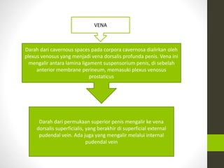 PPT Khitan Khatulistiwa.pptx