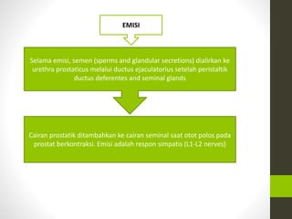 PPT Khitan Khatulistiwa.pptx