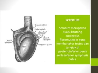 PPT Khitan Khatulistiwa.pptx