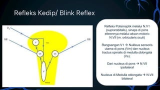 PPT KHS.pptx