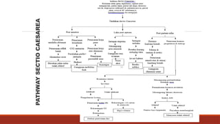 PPT KIAN NI LUH NENGAH SRI MAHARYANI.pptx