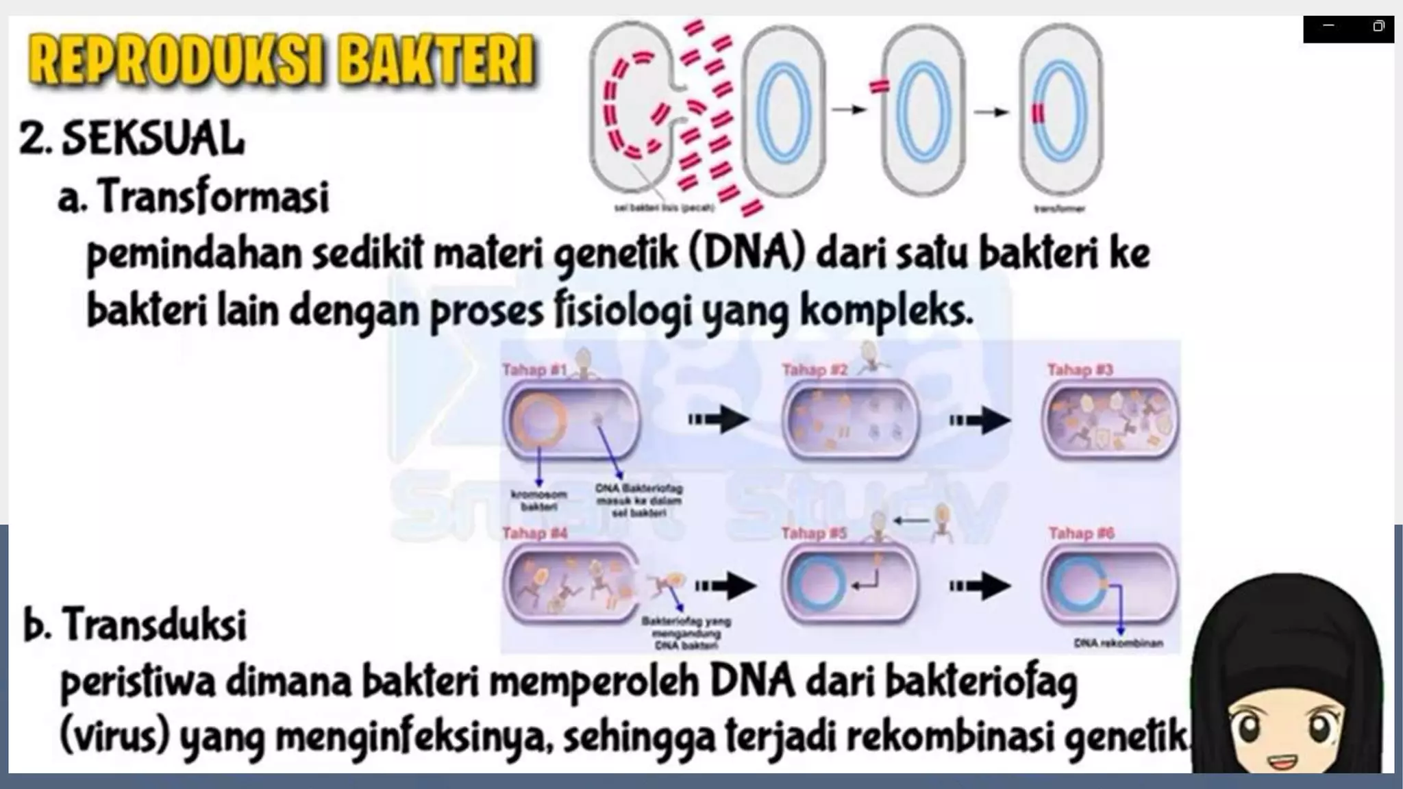 PPT KINGDOM MONERA.pptx