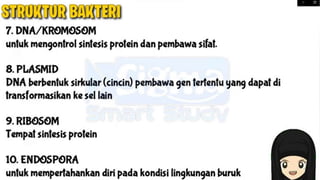 PPT KINGDOM MONERA.pptx