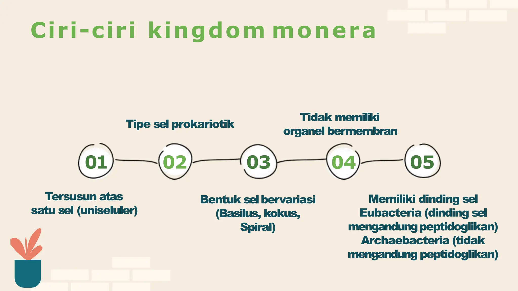 PPT KINGDOM MONERA X.pptx