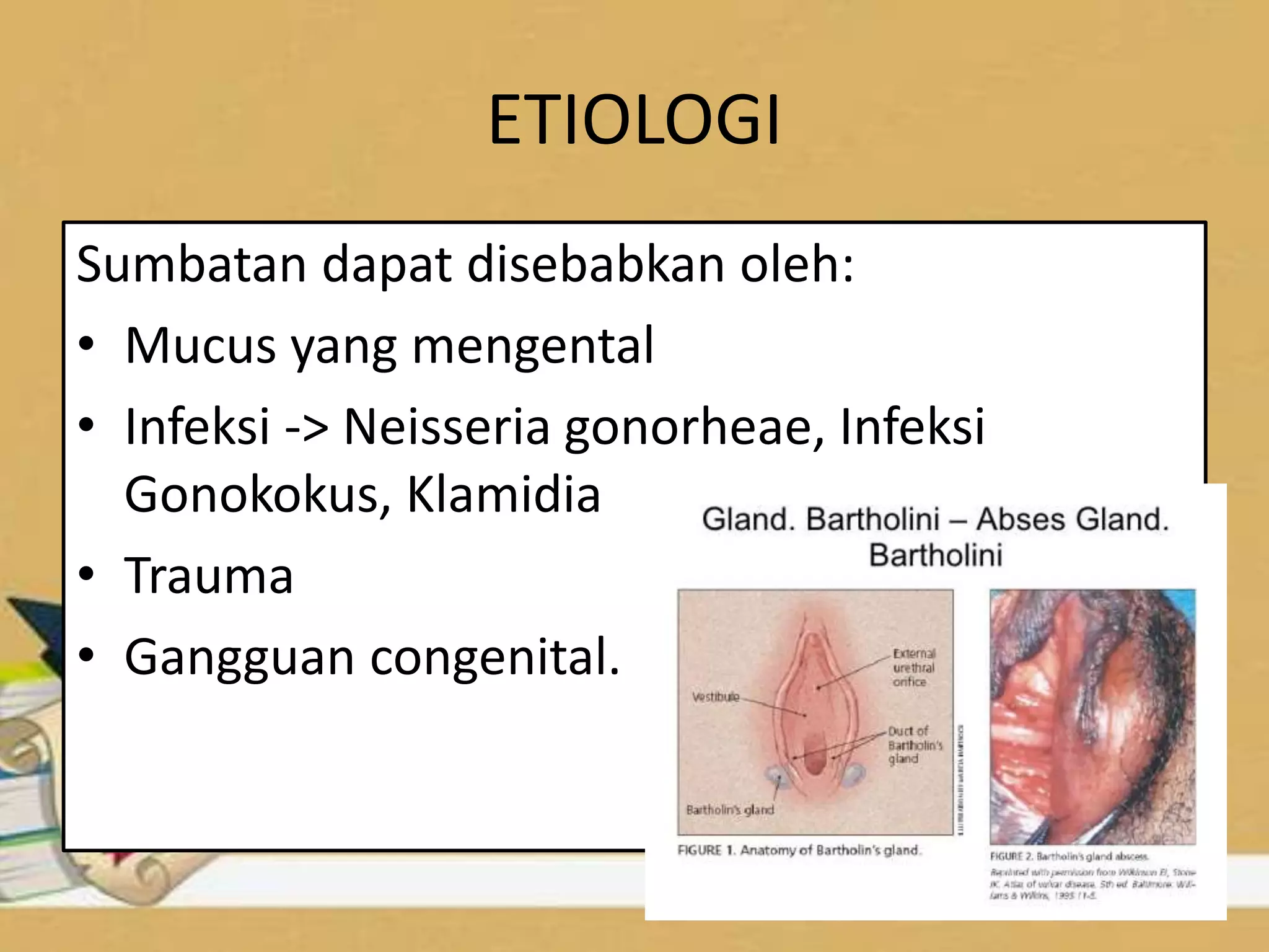 Kista Bartholini | PPTX