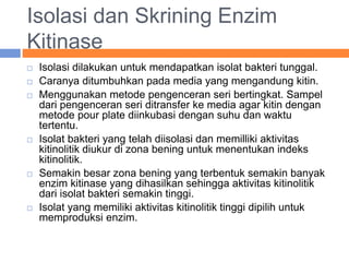 Bioteknologi Enzim Kitinase | PPTX