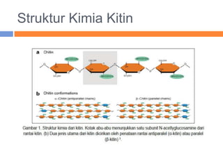Bioteknologi Enzim Kitinase | PPTX