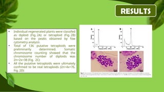 Polyploidy Induction, part of Biotechnology | PPT