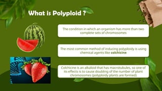 Polyploidy Induction, part of Biotechnology | PPT