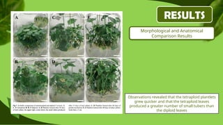 Polyploidy Induction, part of Biotechnology | PPT