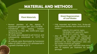 Polyploidy Induction, part of Biotechnology | PPT