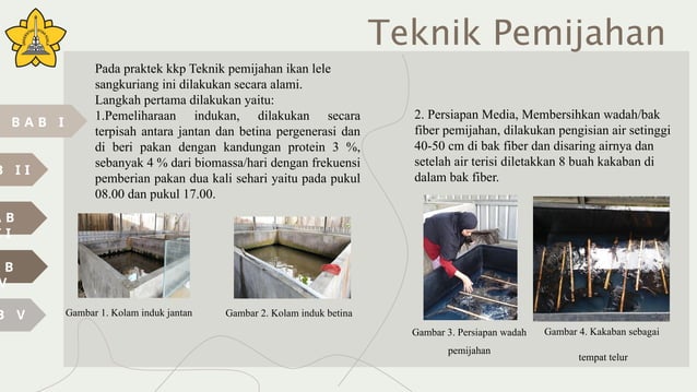 ppt KKP INTAN HUMAIRA_1911102010087.pptx