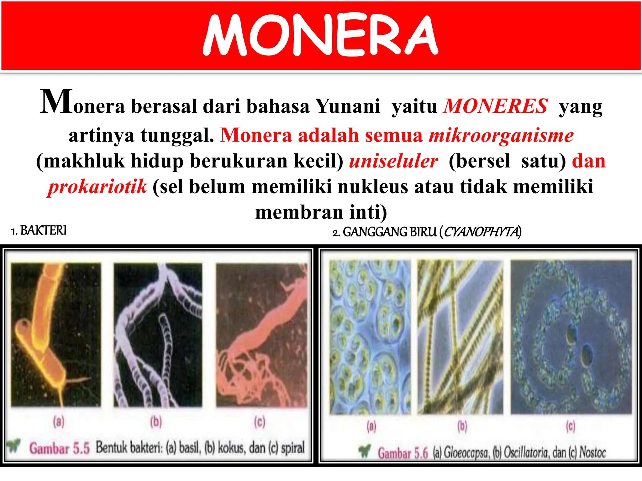 ppt Klasifikasi 5 kingdom VII kelas .pptx