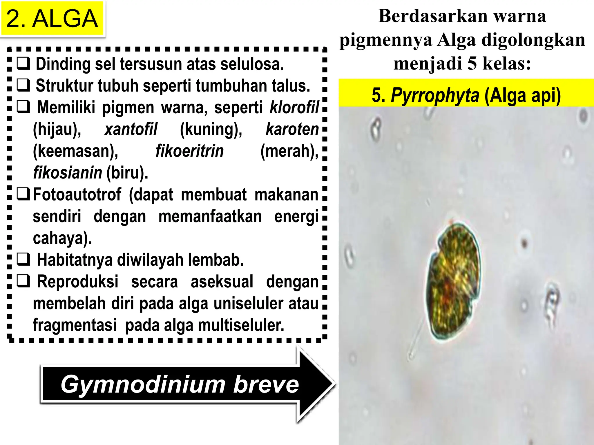 ppt Klasifikasi 5 kingdom VII kelas .pptx