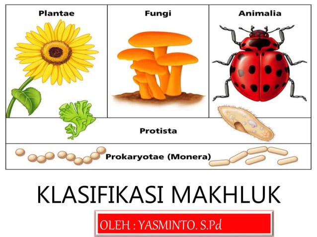 ppt Klasifikasi 5 kingdom VII kelas .pptx