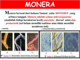 ppt Klasifikasi 5 kingdom VII kelas .pptx