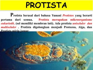 ppt Klasifikasi 5 kingdom VII kelas .pptx