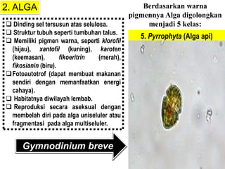 ppt Klasifikasi 5 kingdom VII kelas .pptx