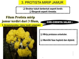 ppt Klasifikasi 5 kingdom VII kelas .pptx