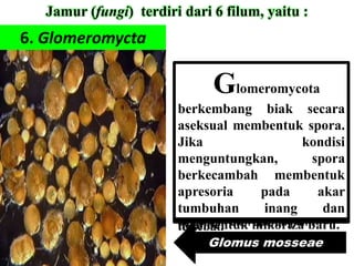 ppt Klasifikasi 5 kingdom VII kelas .pptx