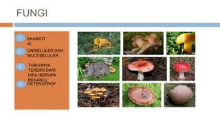 PPT KLASIFIKASI MAKHLUK HIDUP.pptx