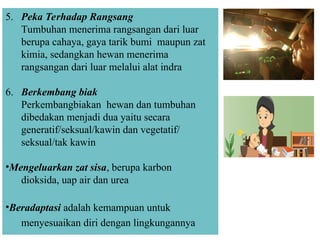 PPT Klasifikasi Makhluk Hidup Manusia, hewan Tumbuhan.ppt