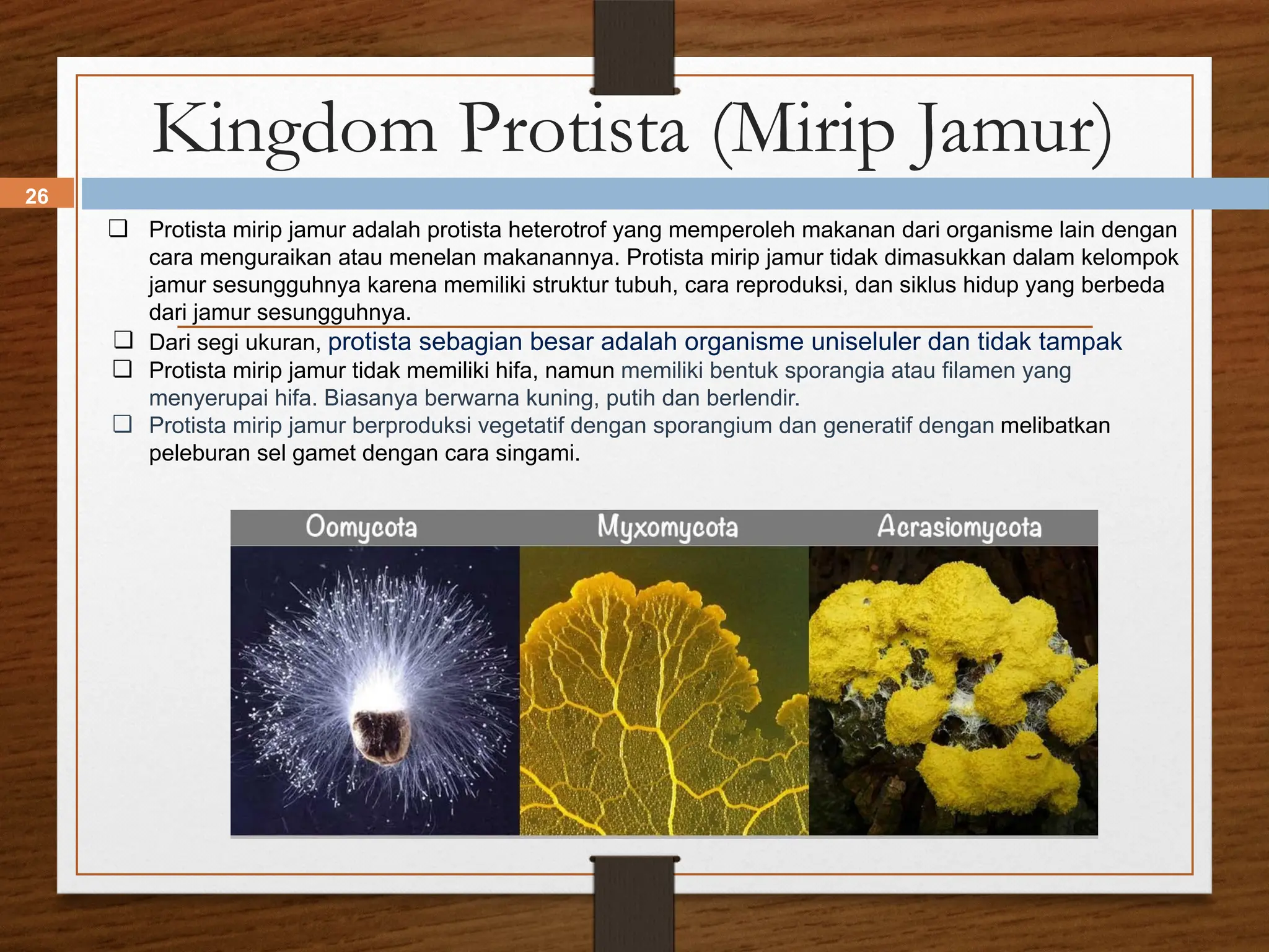 PPT KLASIFIKASI MAKHLUK HIDUP KELAS 10.pptx
