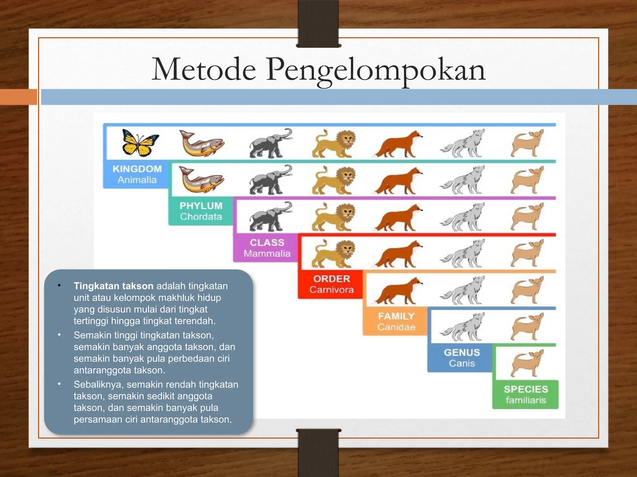 PPT KLASIFIKASI MAKHLUK HIDUP KELAS 10.pptx