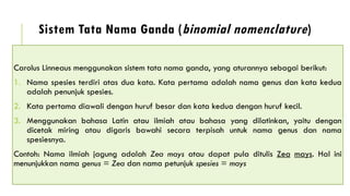 PPT Klasifikasi Makhluk Hidup Kelas X gahsjajsjsjsj | PPTX