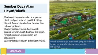 klasifikasi sda untuk pembelajaran geografi | PPTX