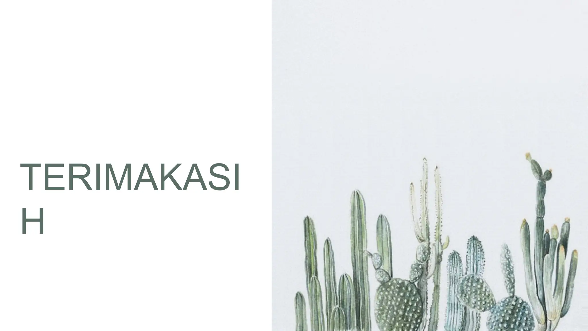 evolusi dan keanekaragaman tumbuan tingkat tinggi | PPTX