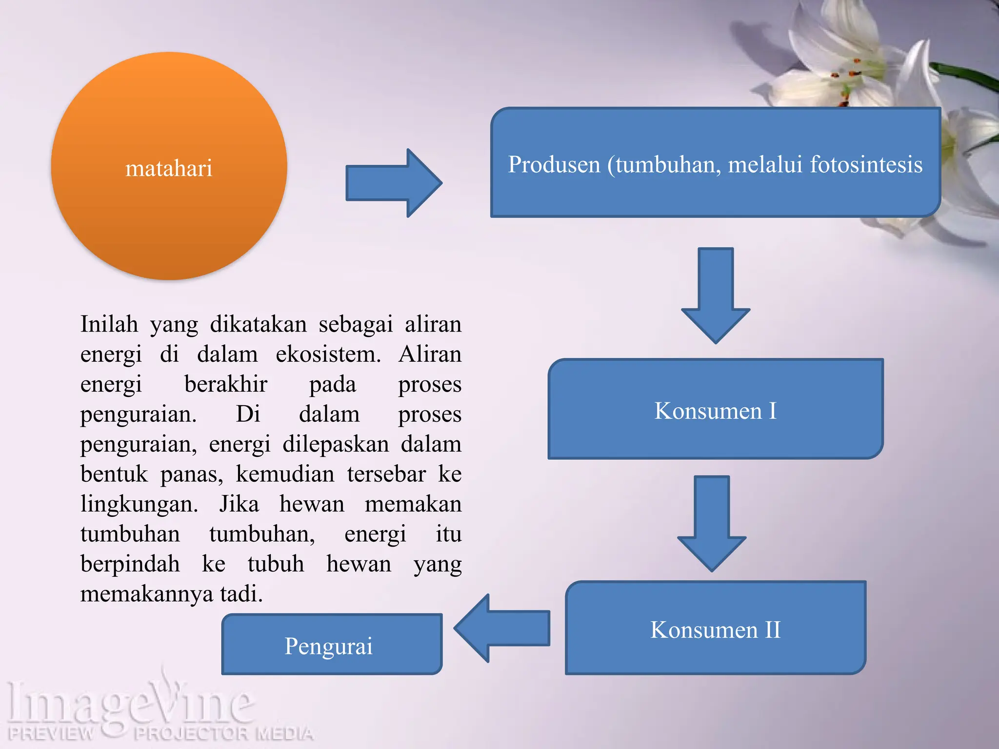 aliran energi ekosistem pada ipajjjjjjjjj | PPTX