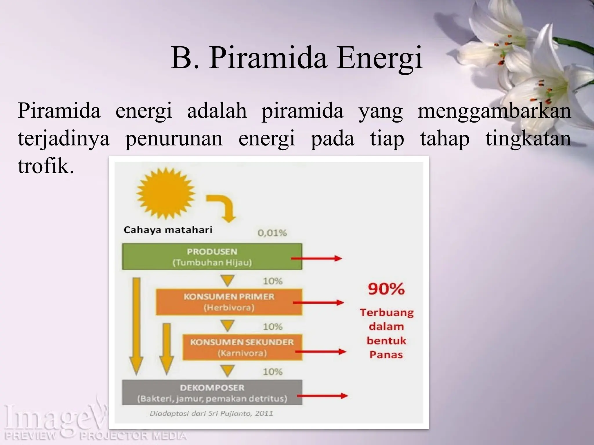 aliran energi ekosistem pada ipajjjjjjjjj | PPTX