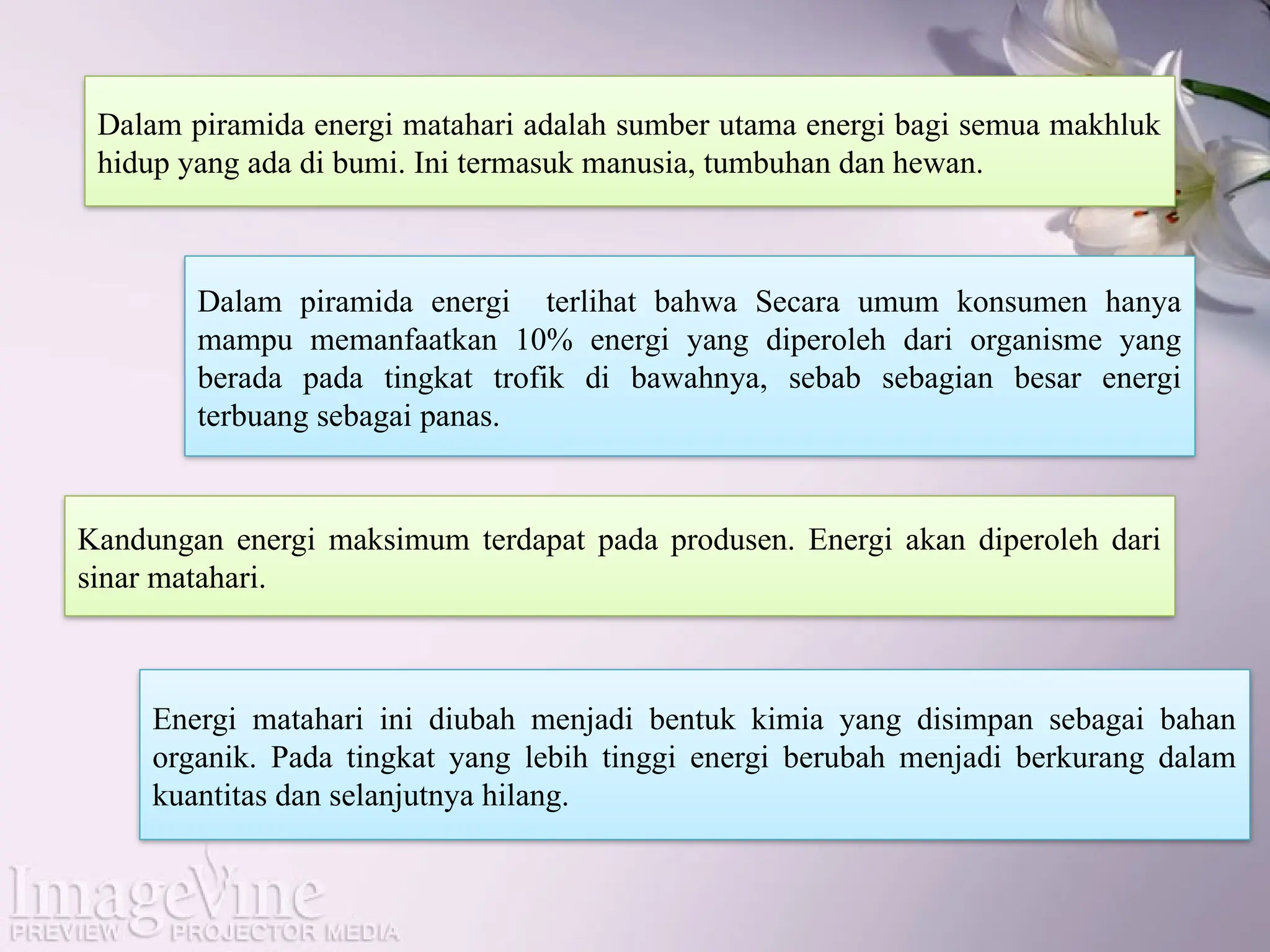 aliran energi ekosistem pada ipajjjjjjjjj | PPTX