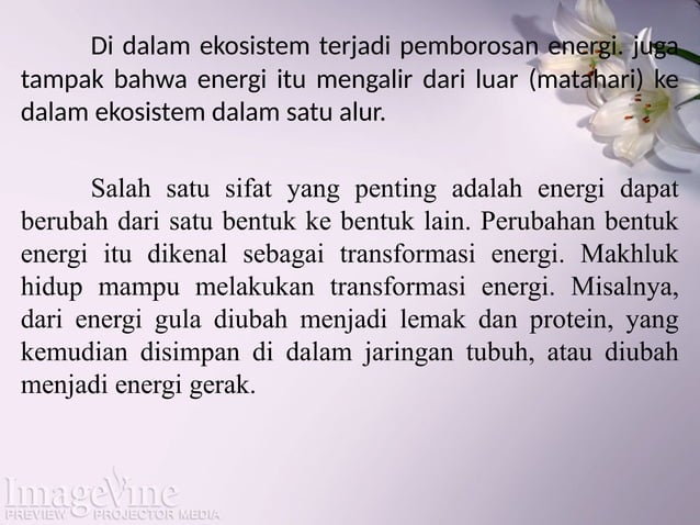 aliran energi ekosistem pada ipajjjjjjjjj | PPTX